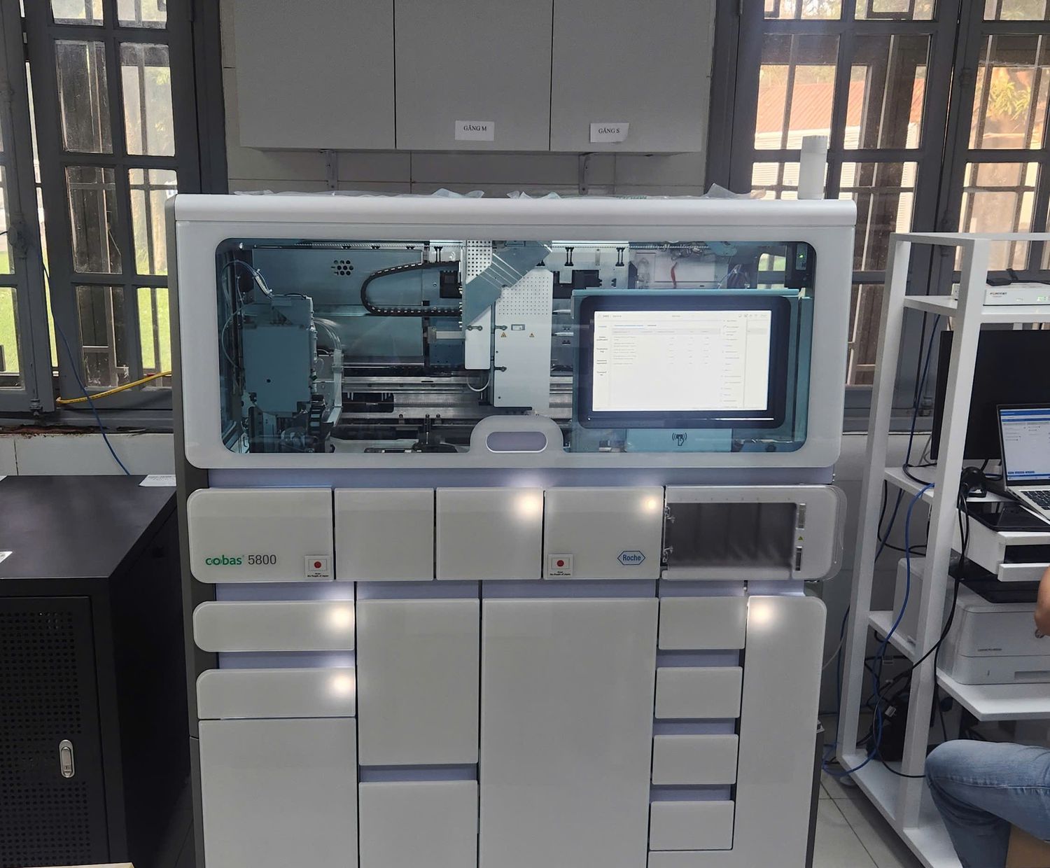 EMIN deploys the Roche cobas 5800 automated PCR testing system at ...